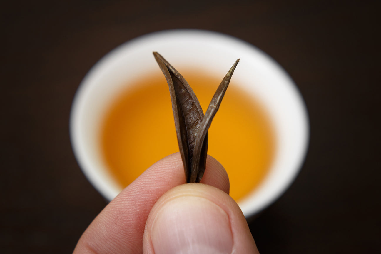Floating Leaves Tea